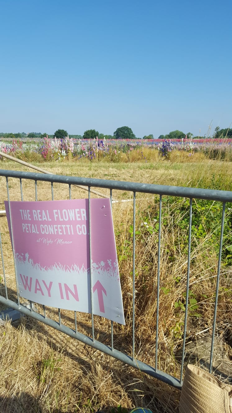 A Floral Day Out at Worcester's Confetti Fields, UK