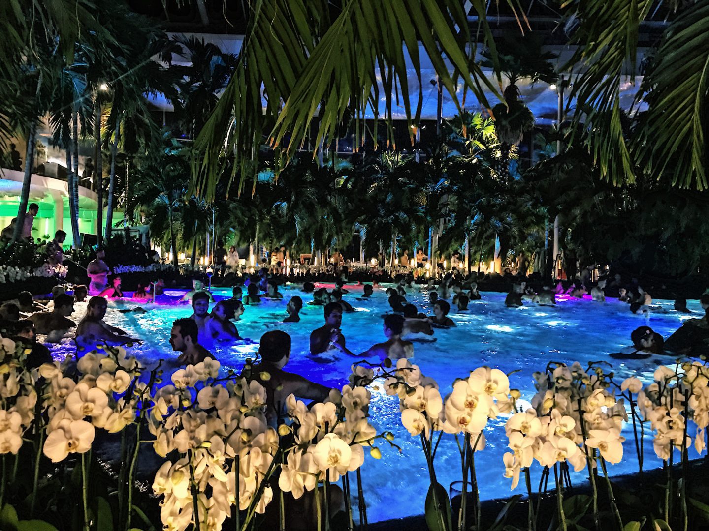 Top Tips for Visiting Therme Bucuresti - Bucharest's Tropical Spa