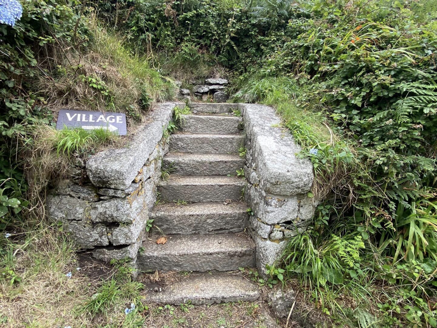Lundy Island - A Day Trip to Britain's Galapagos in North Devon